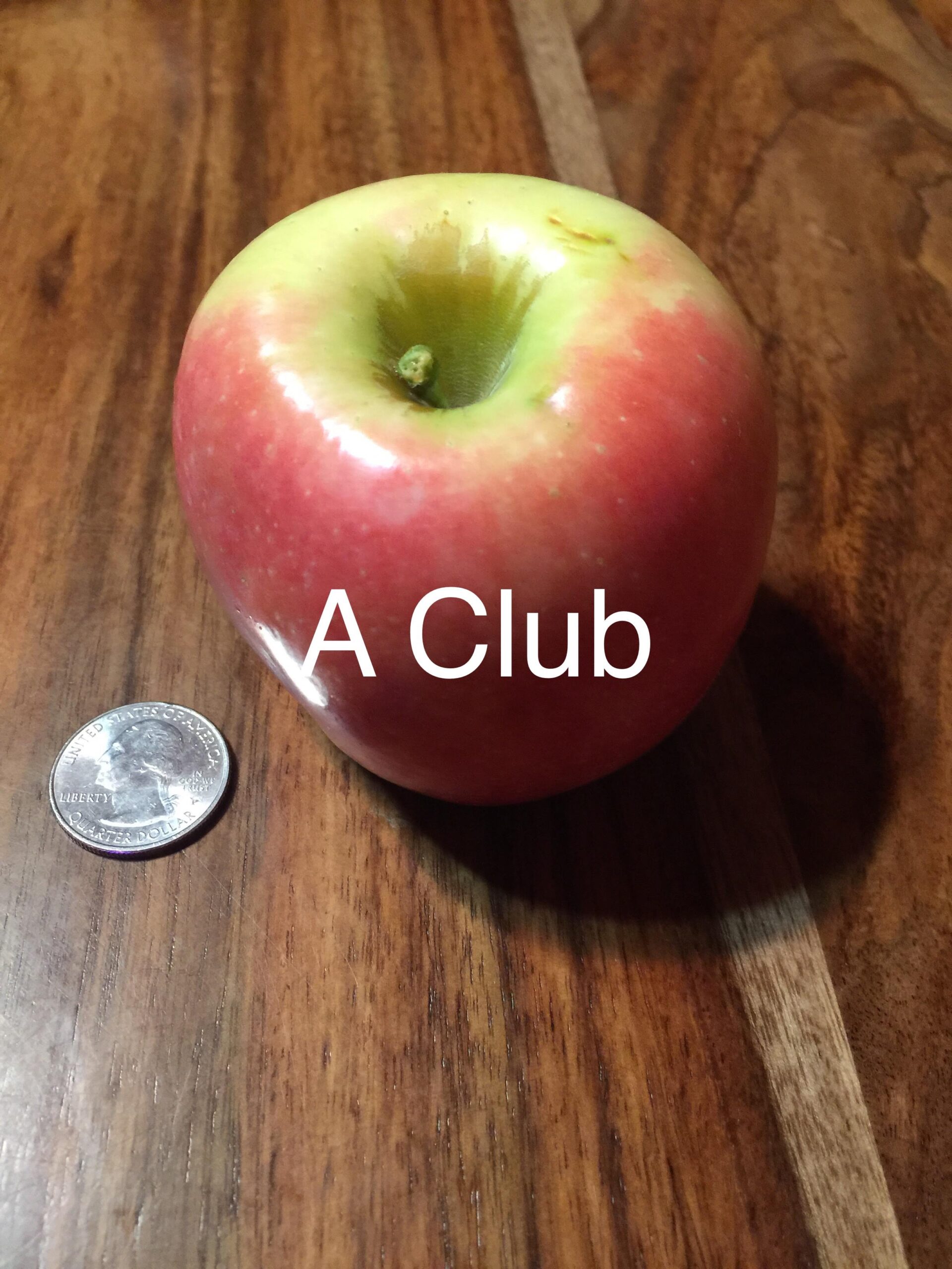 Club Apple “A” – 39th Parallel Nursery & Orchard Lawrence, Kansas