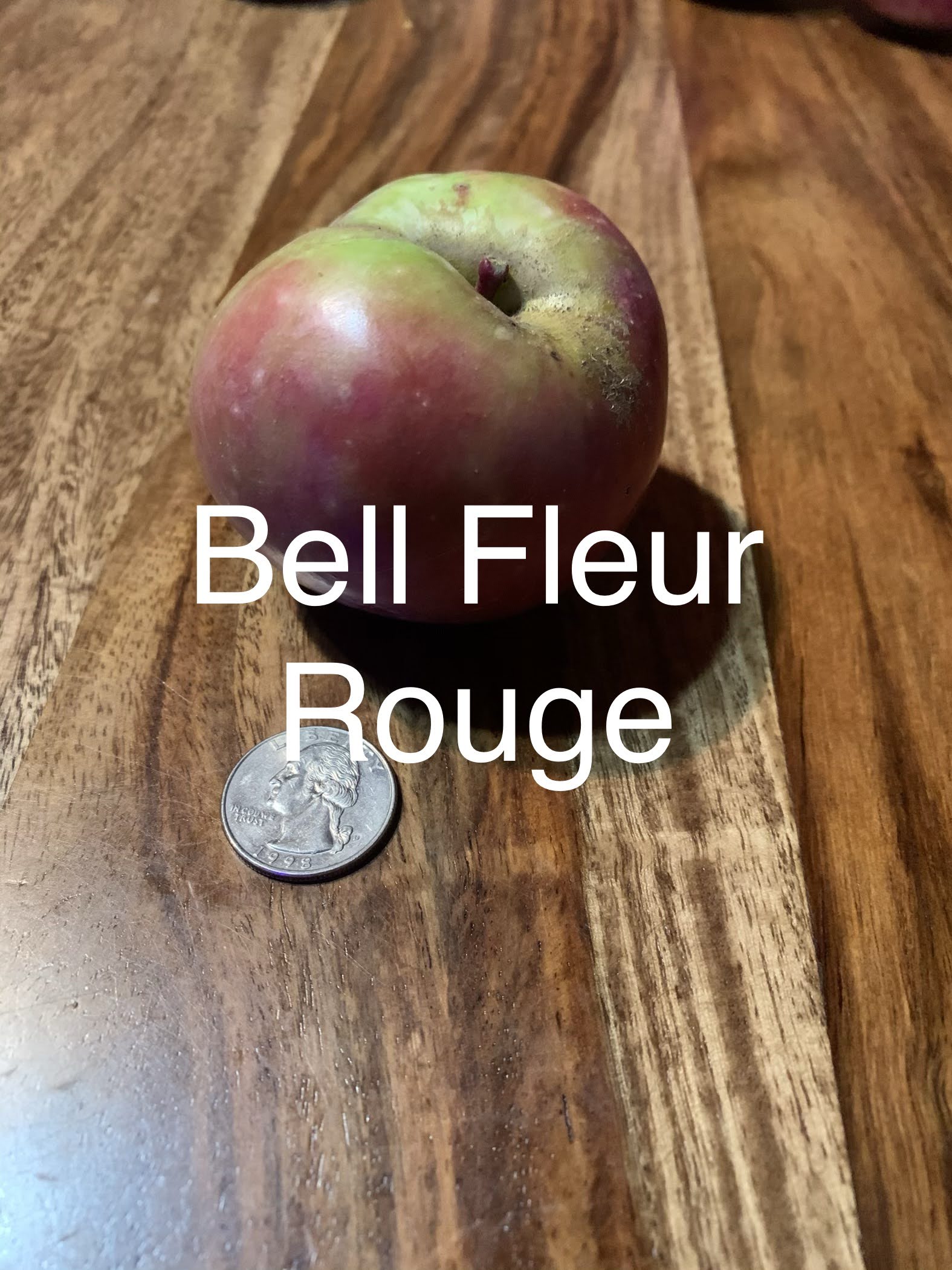 Bell Fleur Rouge Apple – 39th Parallel Nursery & Orchard Lawrence, Kansas