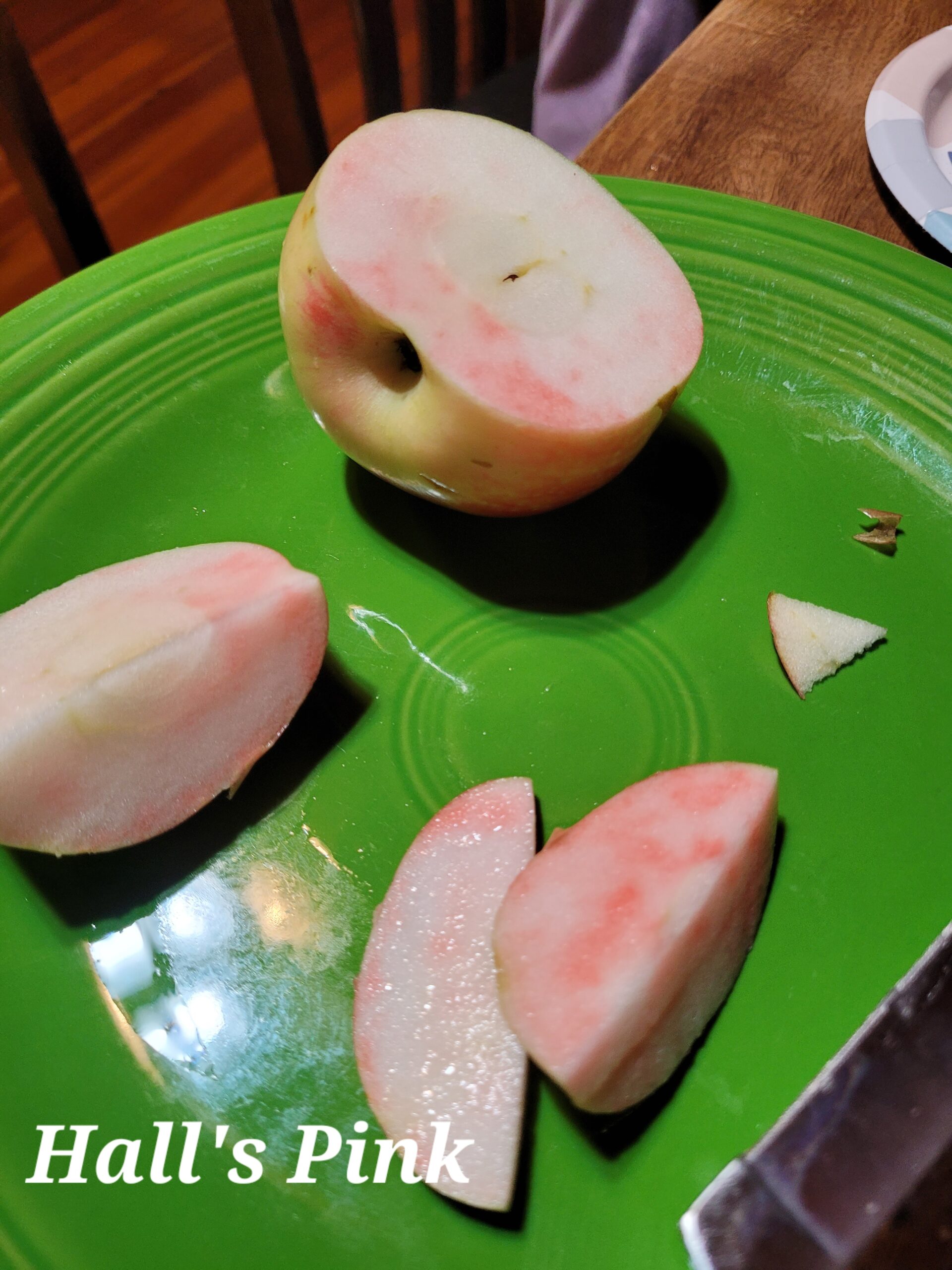Hall’s Pink Apple – 39th Parallel Nursery & Orchard Lawrence, Kansas